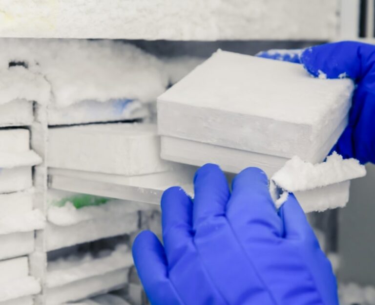 Logistics 101: What Is a Cold Storage Facility and How Does It Work ...